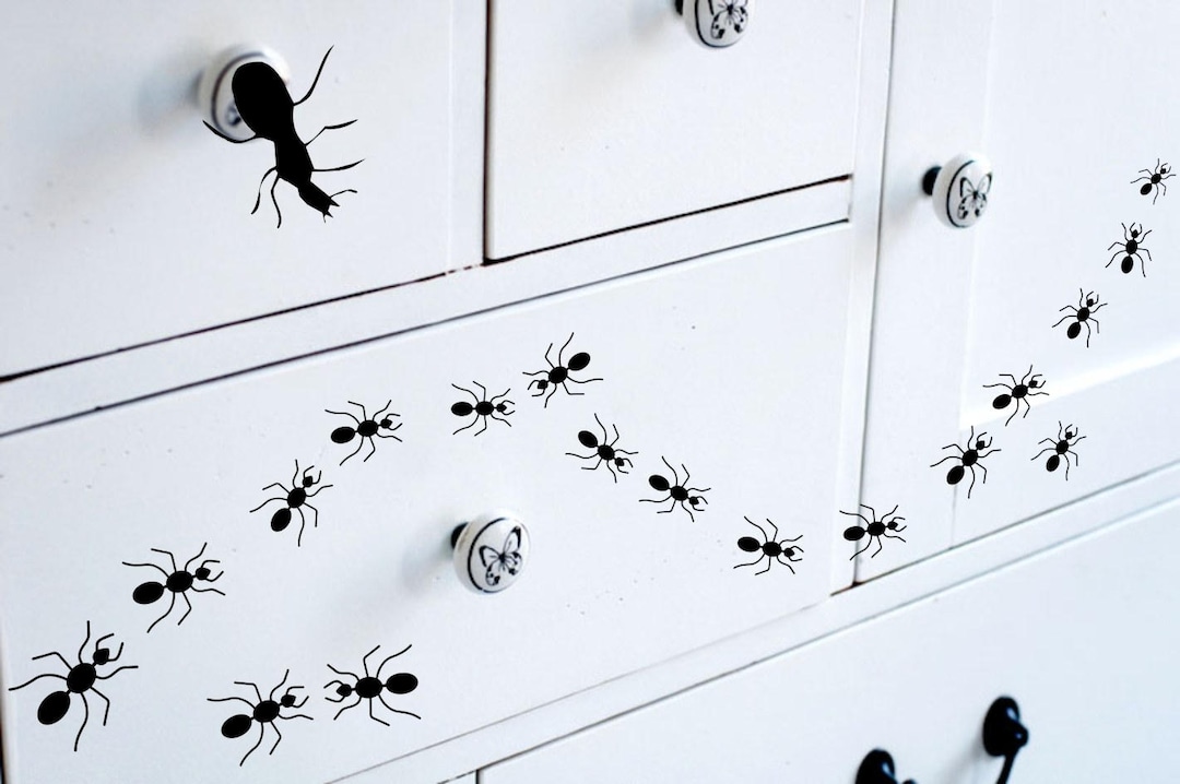 Set of 16 Ants Vinyl Wall Decal Stickers Insect Interior Home - Etsy