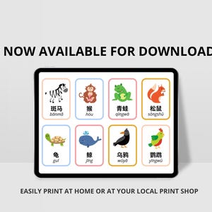 Chinese Learning Flashcards Animals - Etsy