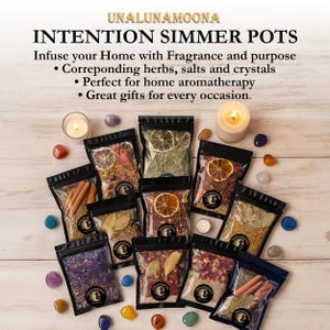 Simmer Pot Kit – Intention Simmer Pot Kit With Crystal – Stovetop ...