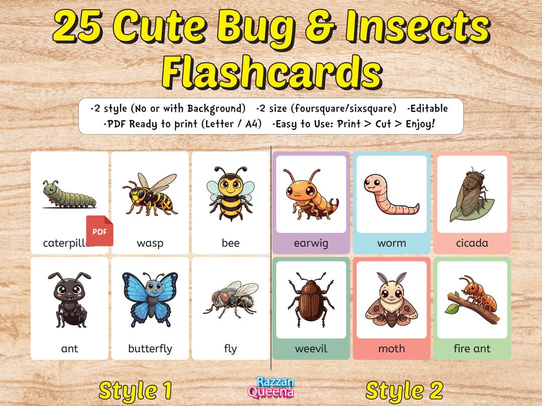 25 Cute Bug & Insects Flashcards, 25 Printable Montessori Toys for ...
