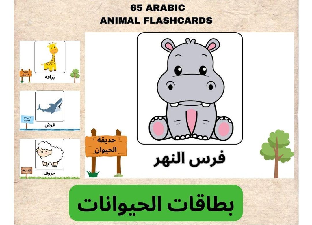 Arabic Animal Educational Flash Cards, Arabic Flashcards, Arabic ...