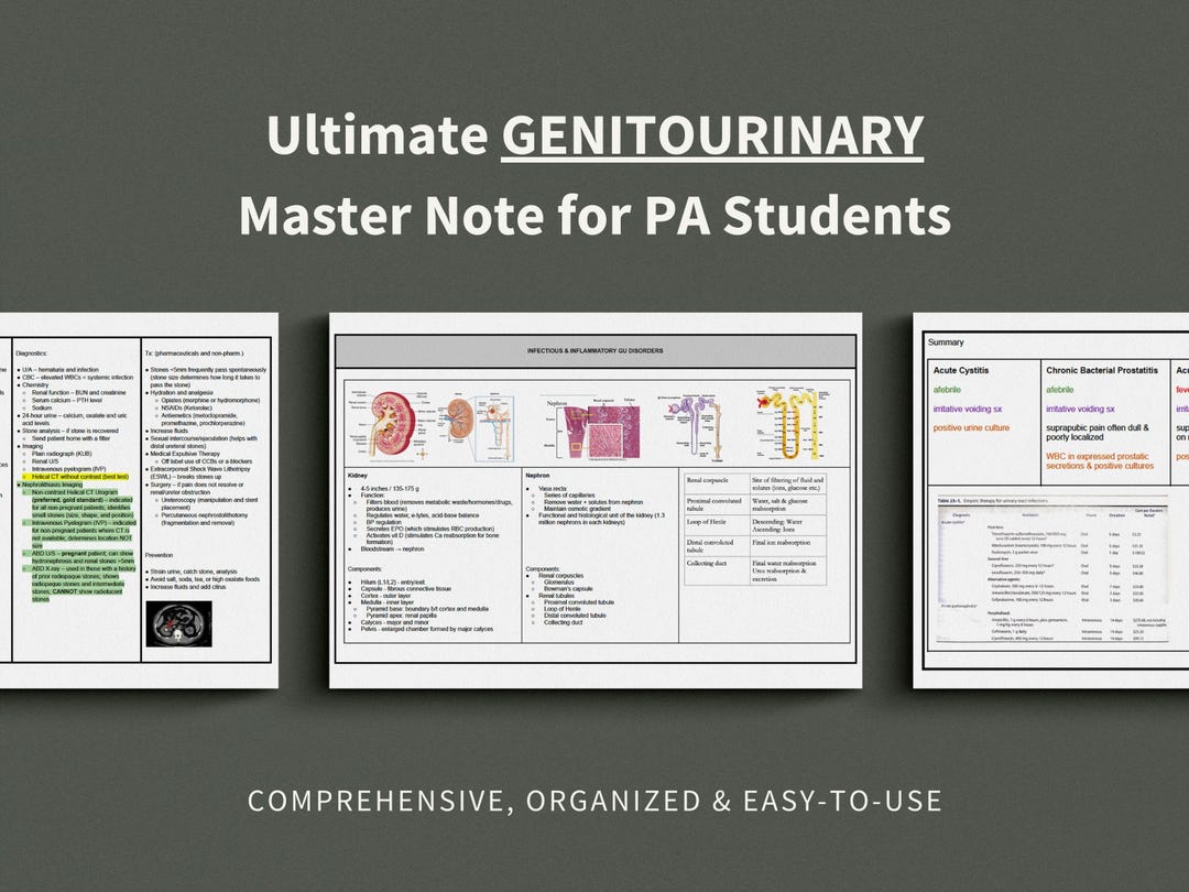 Genitourinary Master Note Study Guide, Physician Assistant, Nurse ...