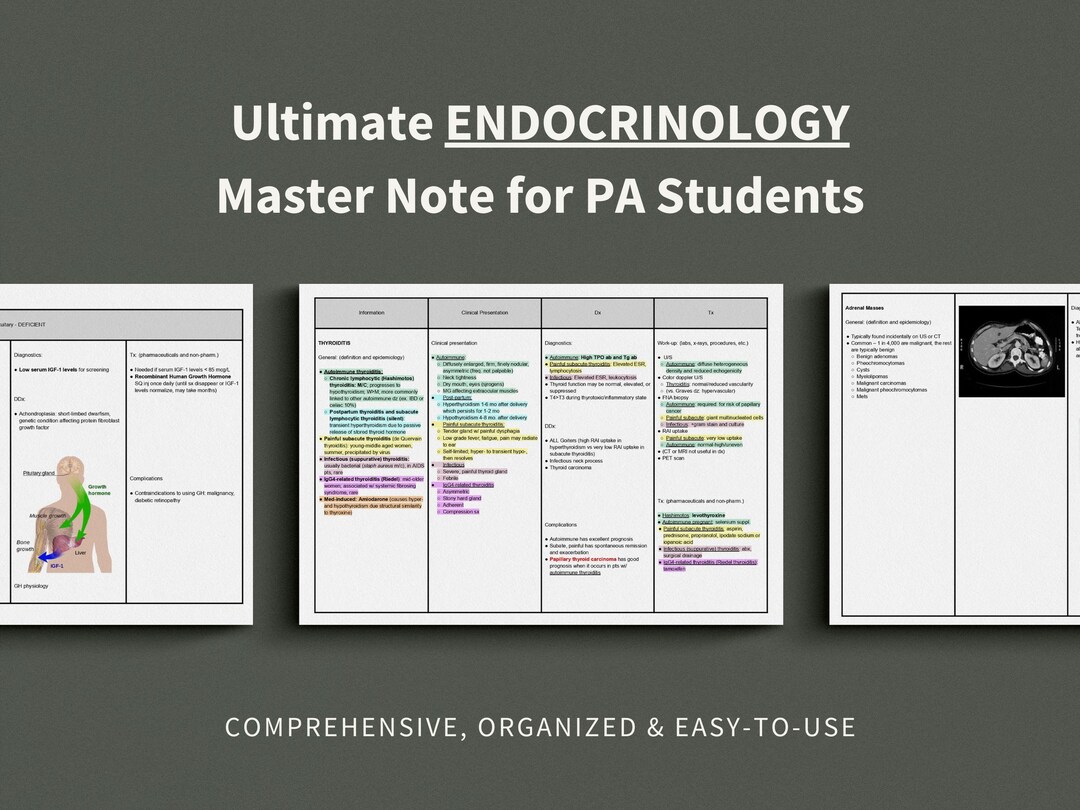 Endocrinology Master Note Study Guide, Physician Assistant, Nurse ...