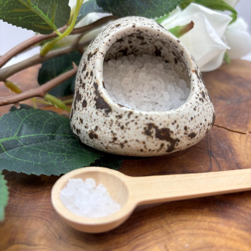 Ceramic Salt Pig - Etsy