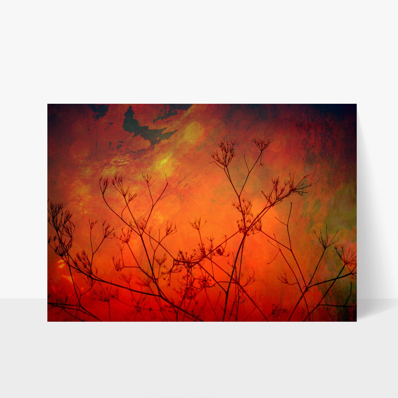 Floral Red - A4 Poster Querformat Fotografie Foto Kunstdruck Art Print ...