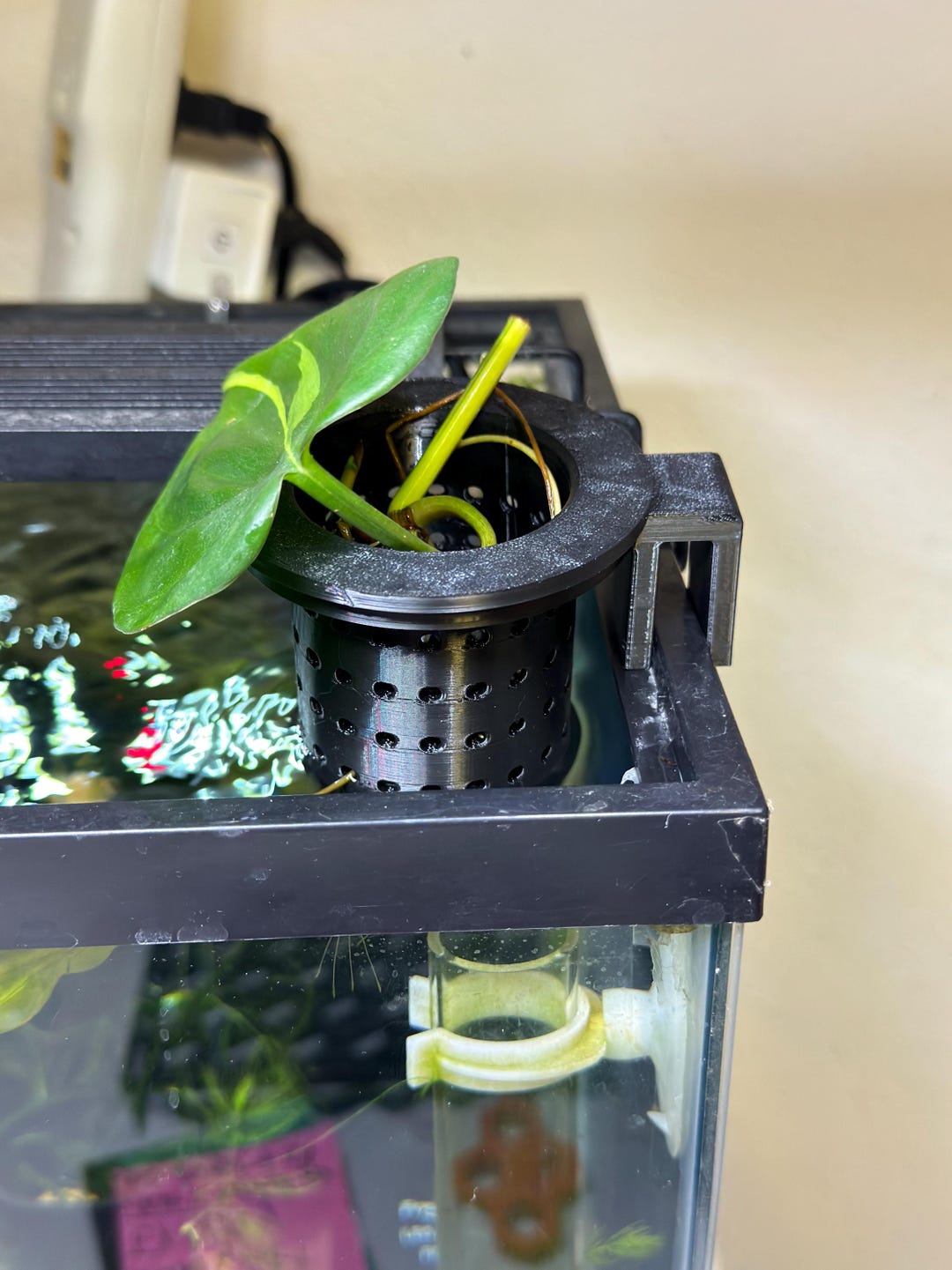 Hang on Tank Plant Holder W/ Removable Cup Insert - Etsy