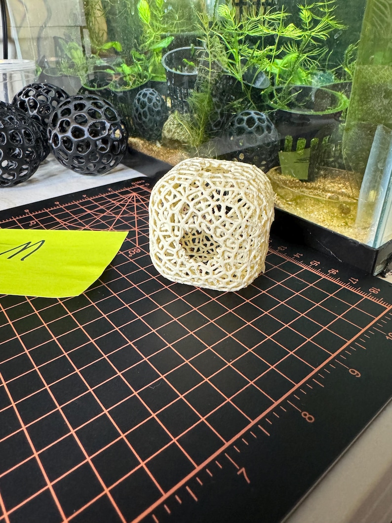 Shrimp and Fry Hide Cube | Voronoi Aquarium Decoration - Etsy