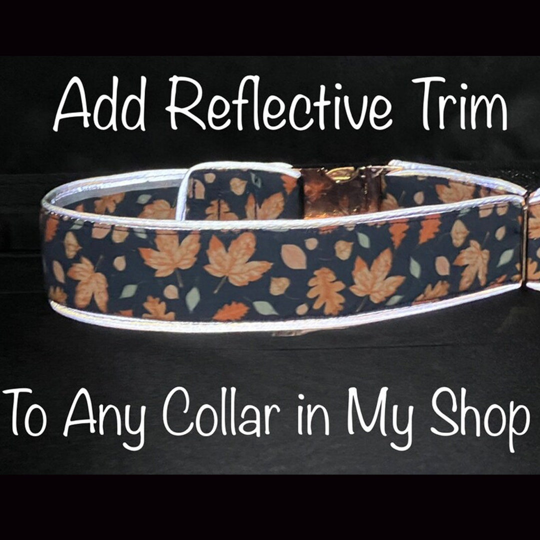 Reflective Trim Add-on for Dog Collars – Night Safety Visibility - Etsy