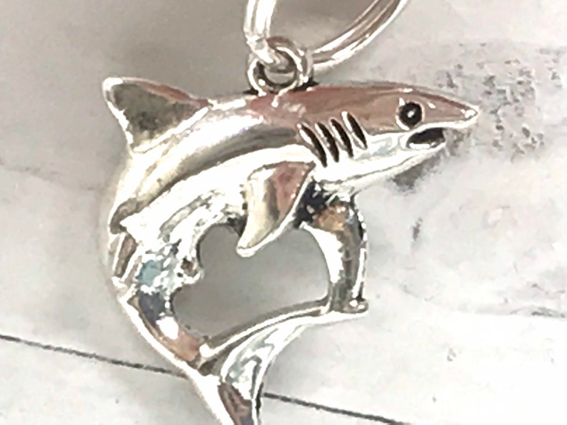 Shark Dog Collar for Girl Boy - Aqua - Etsy