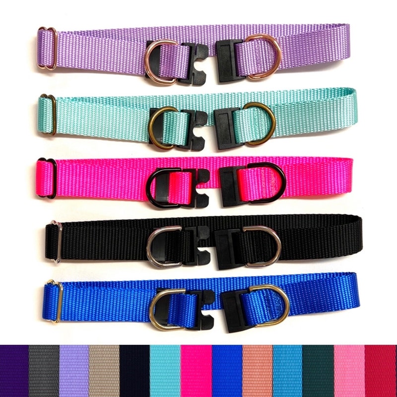 Breakaway Collar 5/8 - Etsy