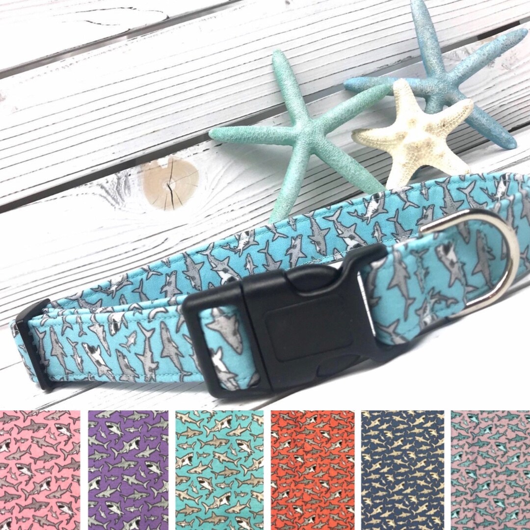 Shark Dog Collar for Girl Boy Aqua - Etsy