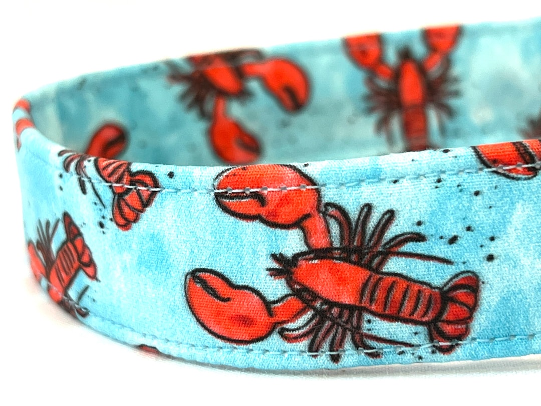 Summer Beach Dog Collar for Boy Girl- Lobsters - Etsy