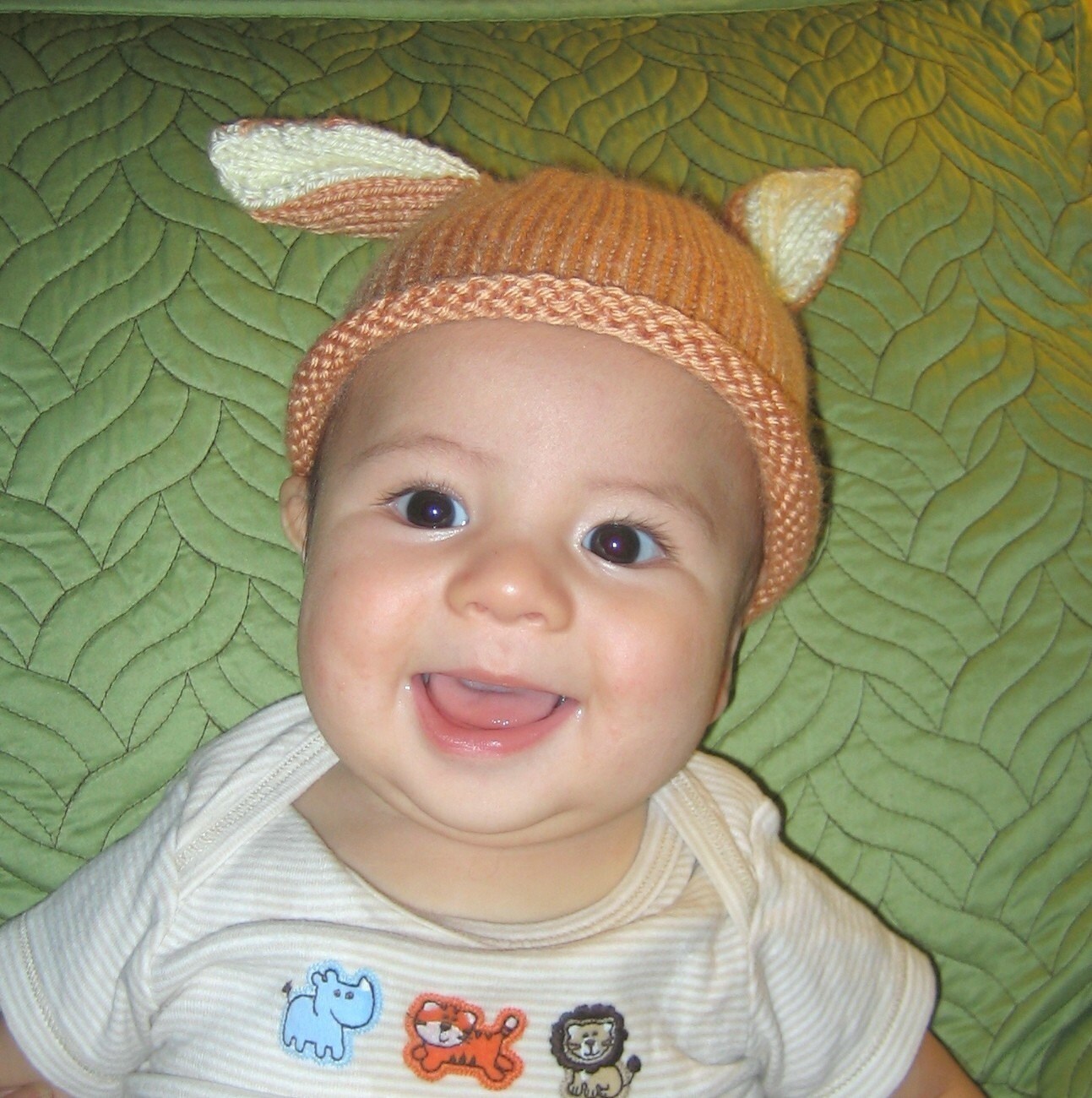 Peter Rabbit Bunny Hat, Knit Baby Hat, Great Photo Prop - Etsy