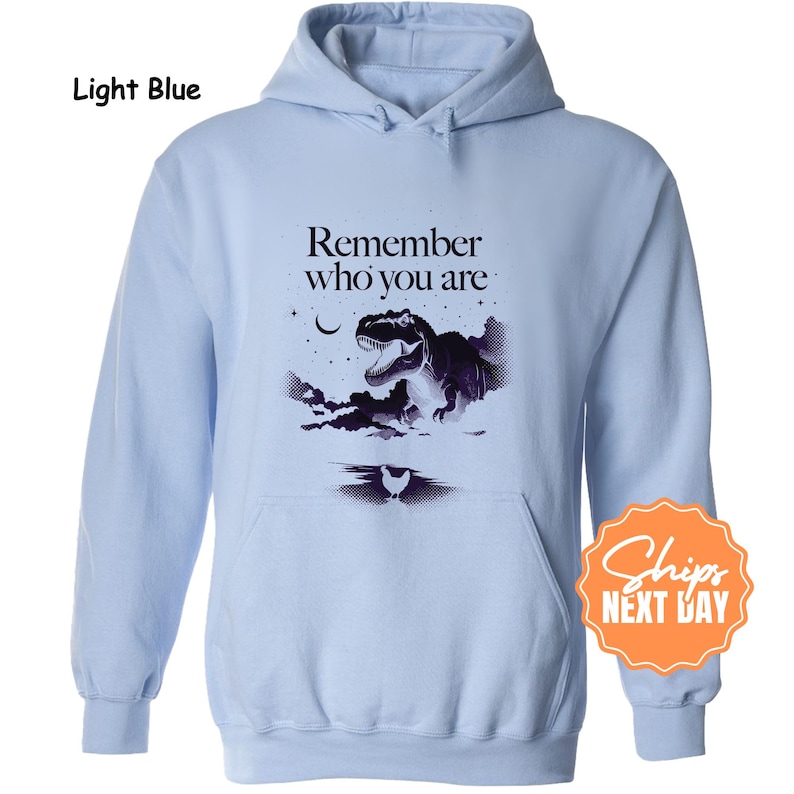 Remember Who You Are Sweatshirt, Funny Evolution Joke Meme Hoodie ...