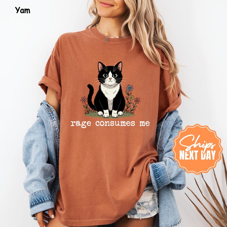 Comfort Colors Funny Cat Meme Shirt, Rage Consumes Me Graphic Tee, Cute ...