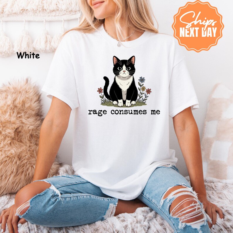 Comfort Colors Funny Cat Meme Shirt, Rage Consumes Me Graphic Tee, Cute ...