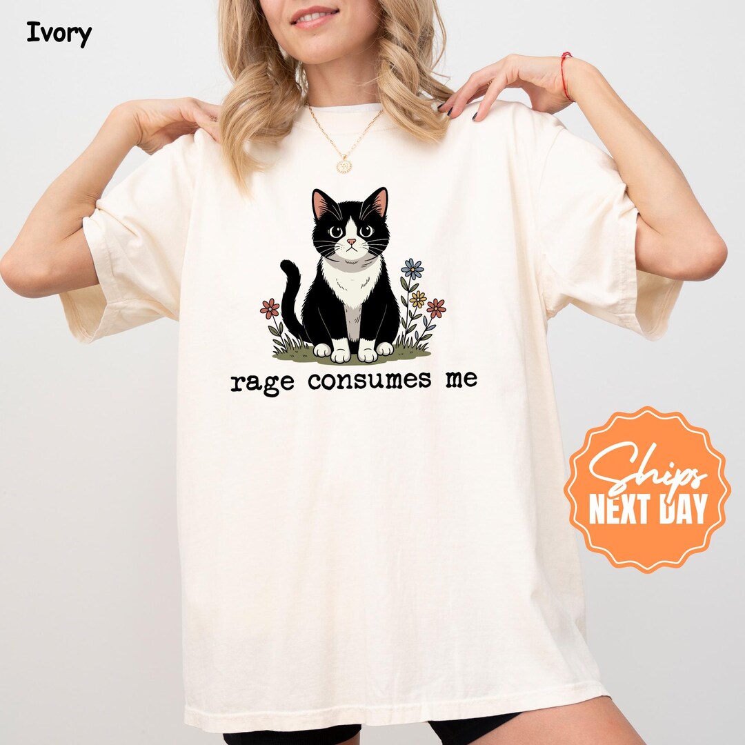 Comfort Colors Funny Cat Meme Shirt, Rage Consumes Me Graphic Tee, Cute ...