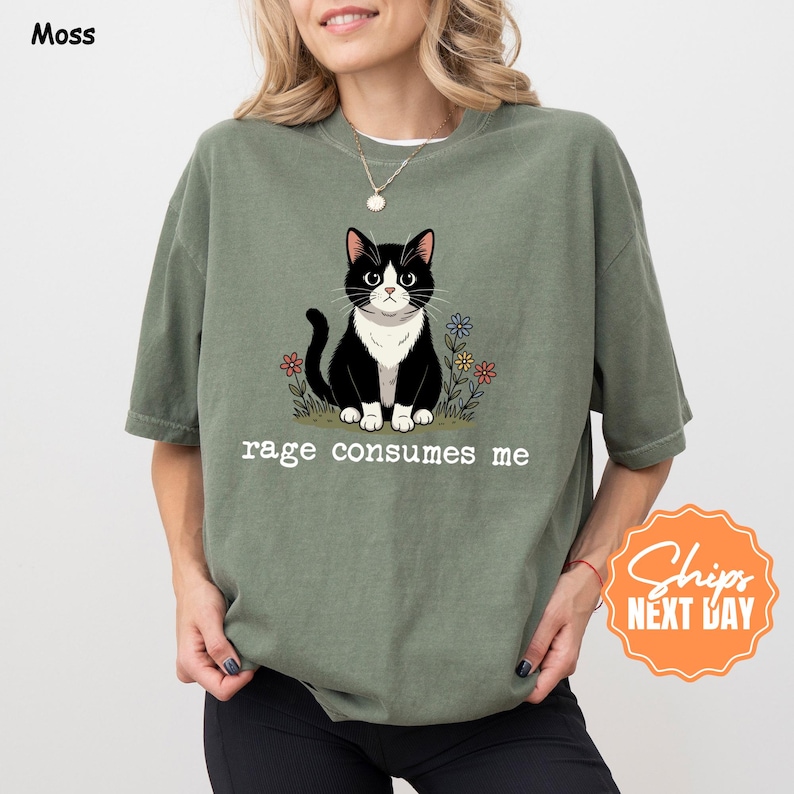 Comfort Colors Funny Cat Meme Shirt, Rage Consumes Me Graphic Tee, Cute ...