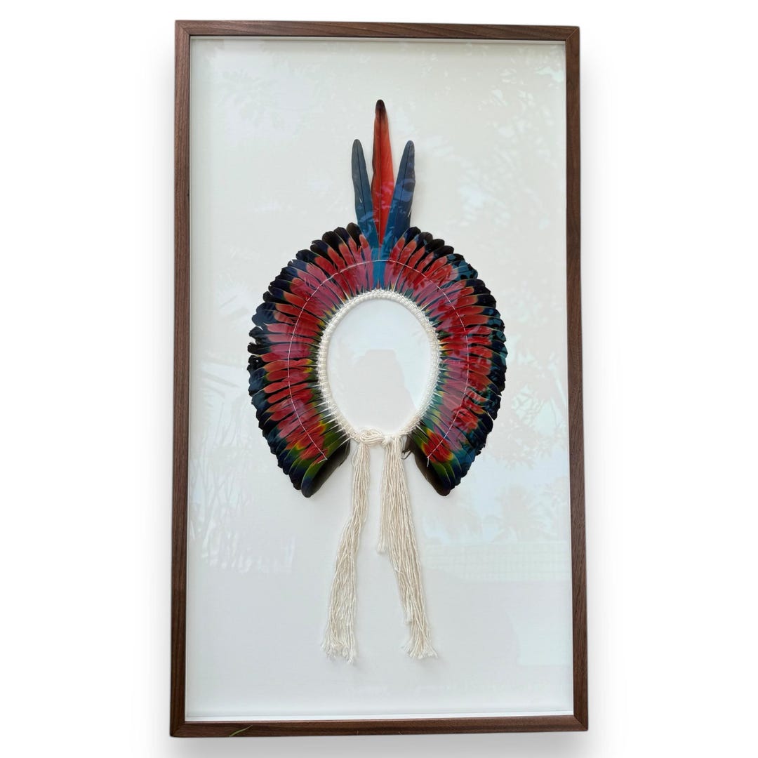 Indigenous Headdress Art in Wooden Frame With Museum Glass - Etsy
