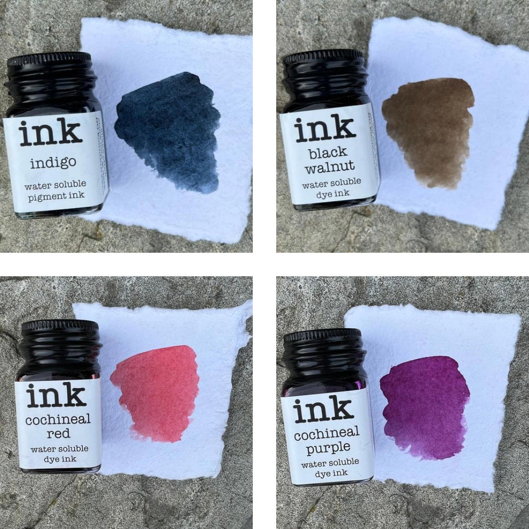 Botanical and Bug Mixed Media Inks - Etsy