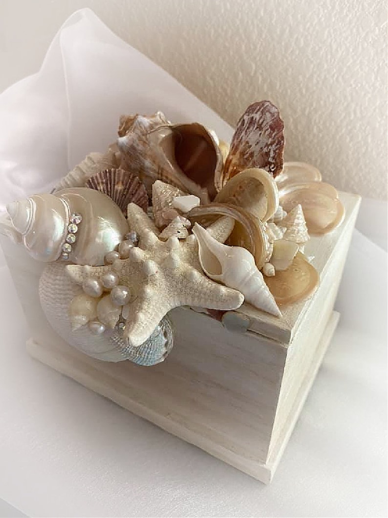 Ocean Treasures Seashell Box - Etsy