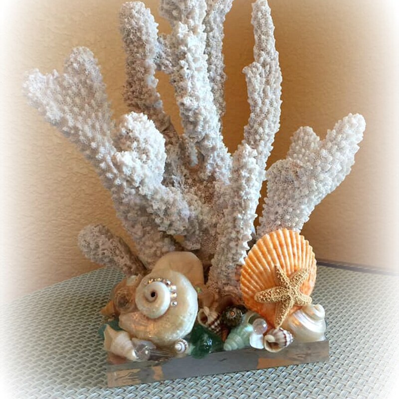 SuziesSeashellWorld - Etsy