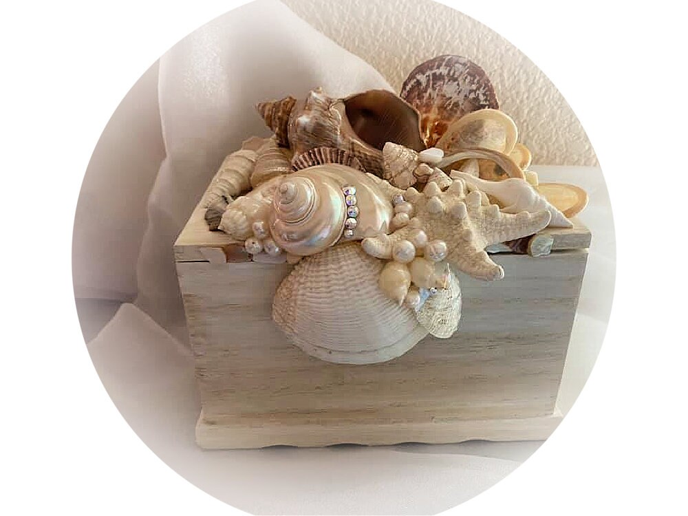 Ocean Treasures Seashell Box - Etsy
