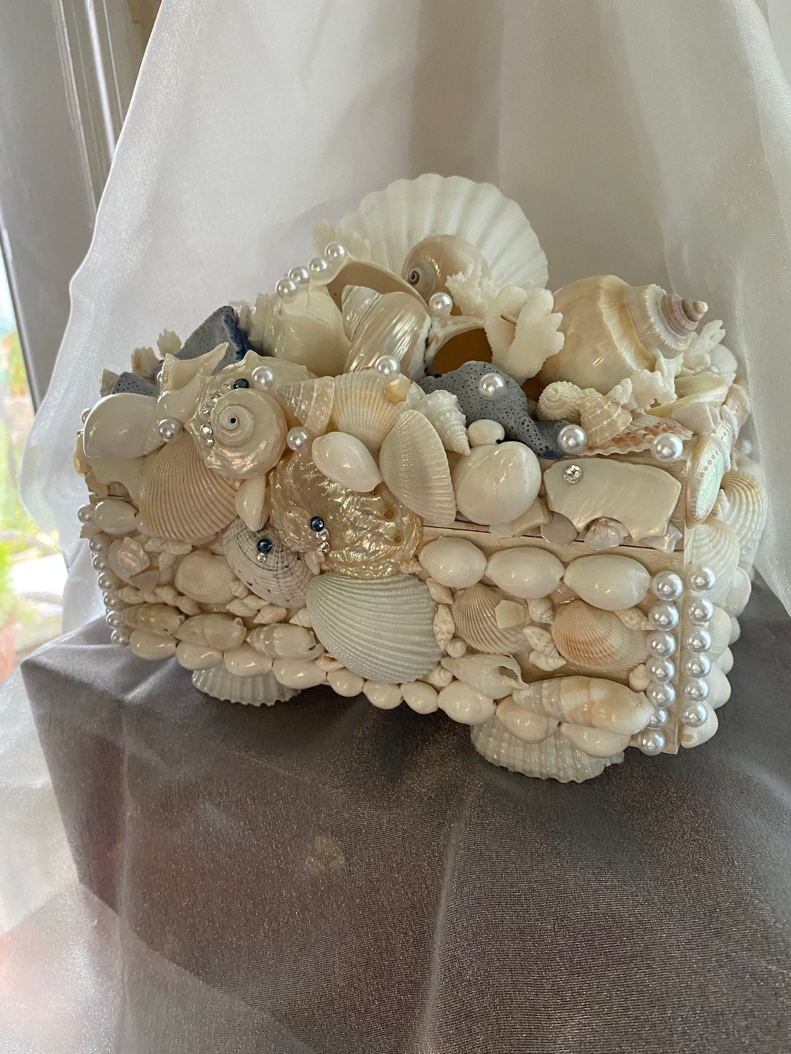 Glory Seashell Box - Etsy
