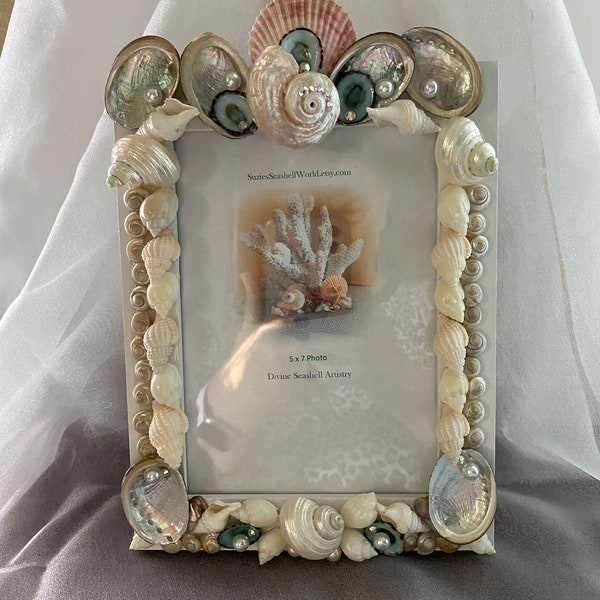 Shell Frame - Etsy