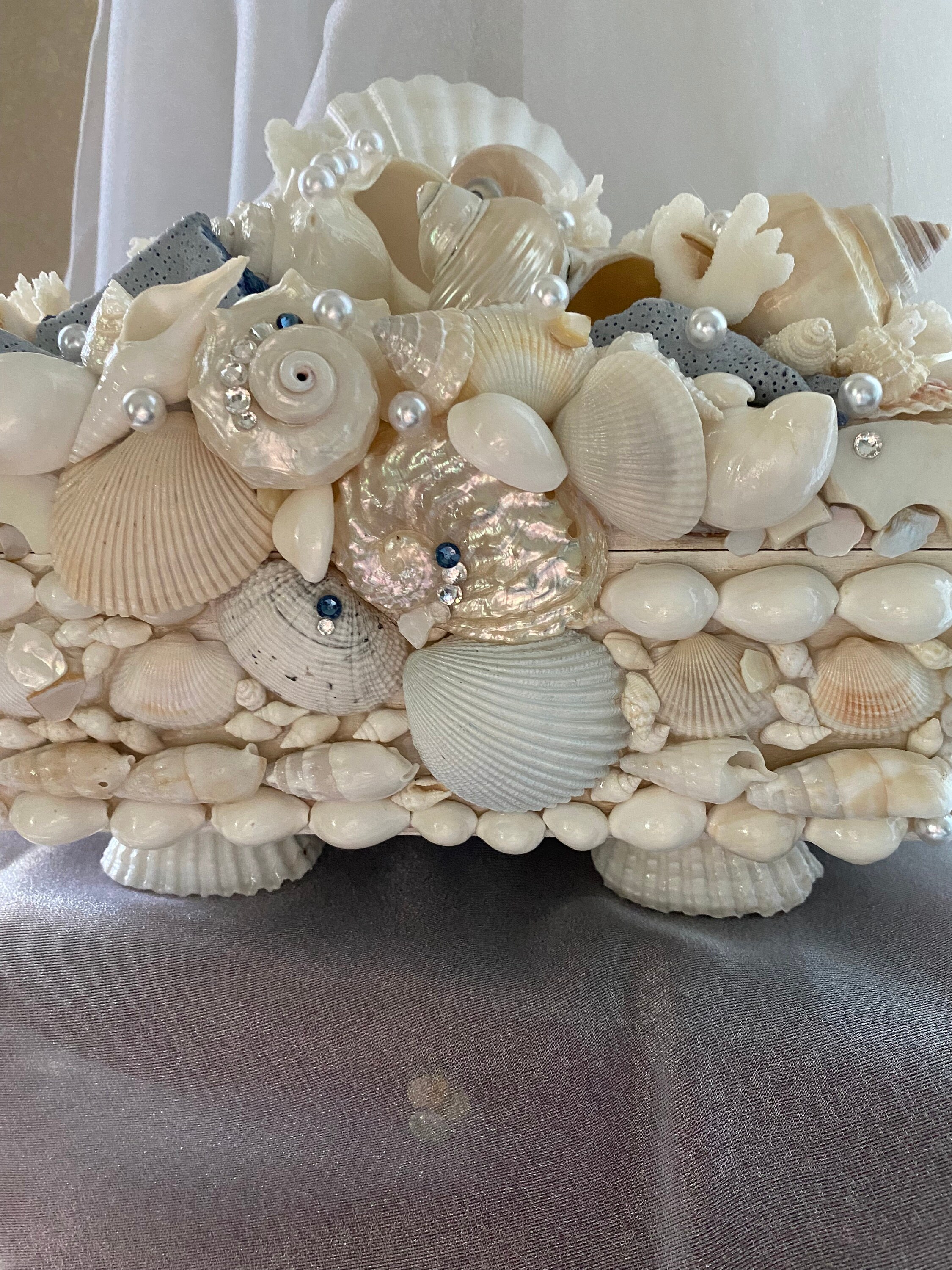 Glory Seashell Box - Etsy