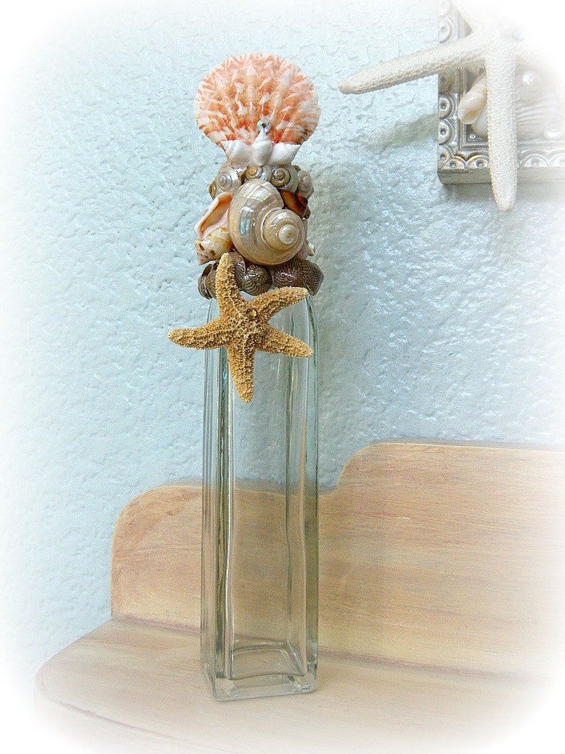 A Message in a Bottle Seashell Trinket Bottle - Etsy
