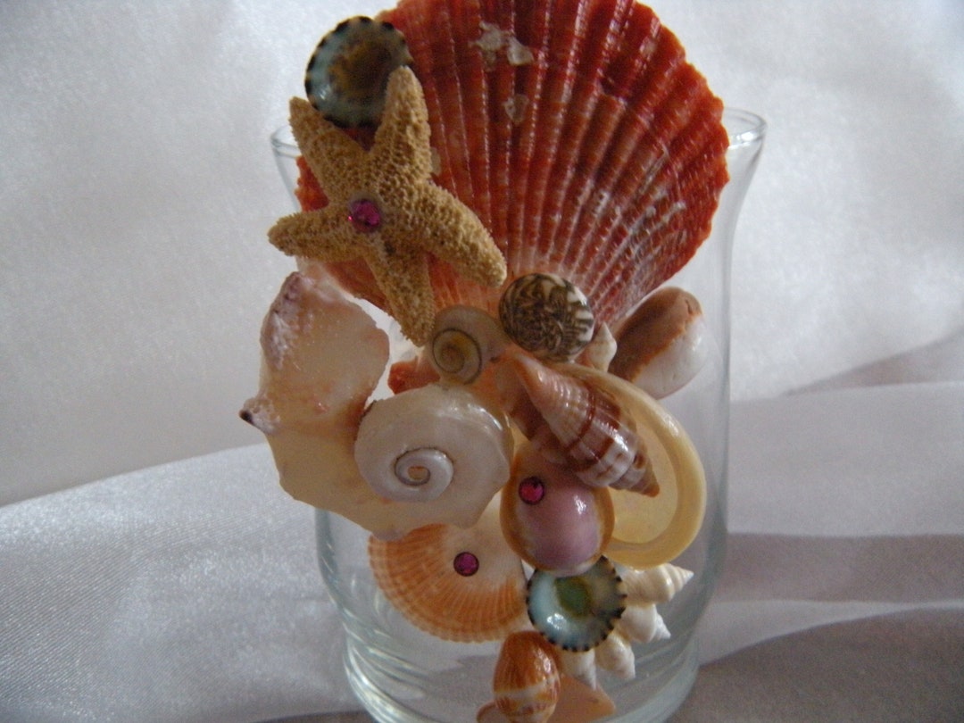 Seaside Seashell Vase - Etsy