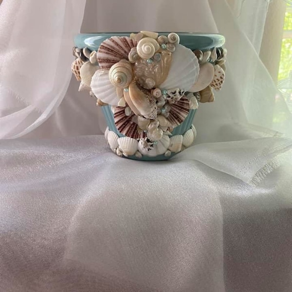 Seashell Planter - Etsy