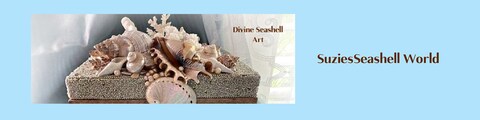 SuziesSeashellWorld - Etsy