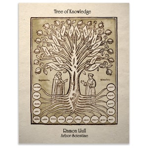 Science History Art Tree of Branching Knowledge Print Ramon Llull - Etsy