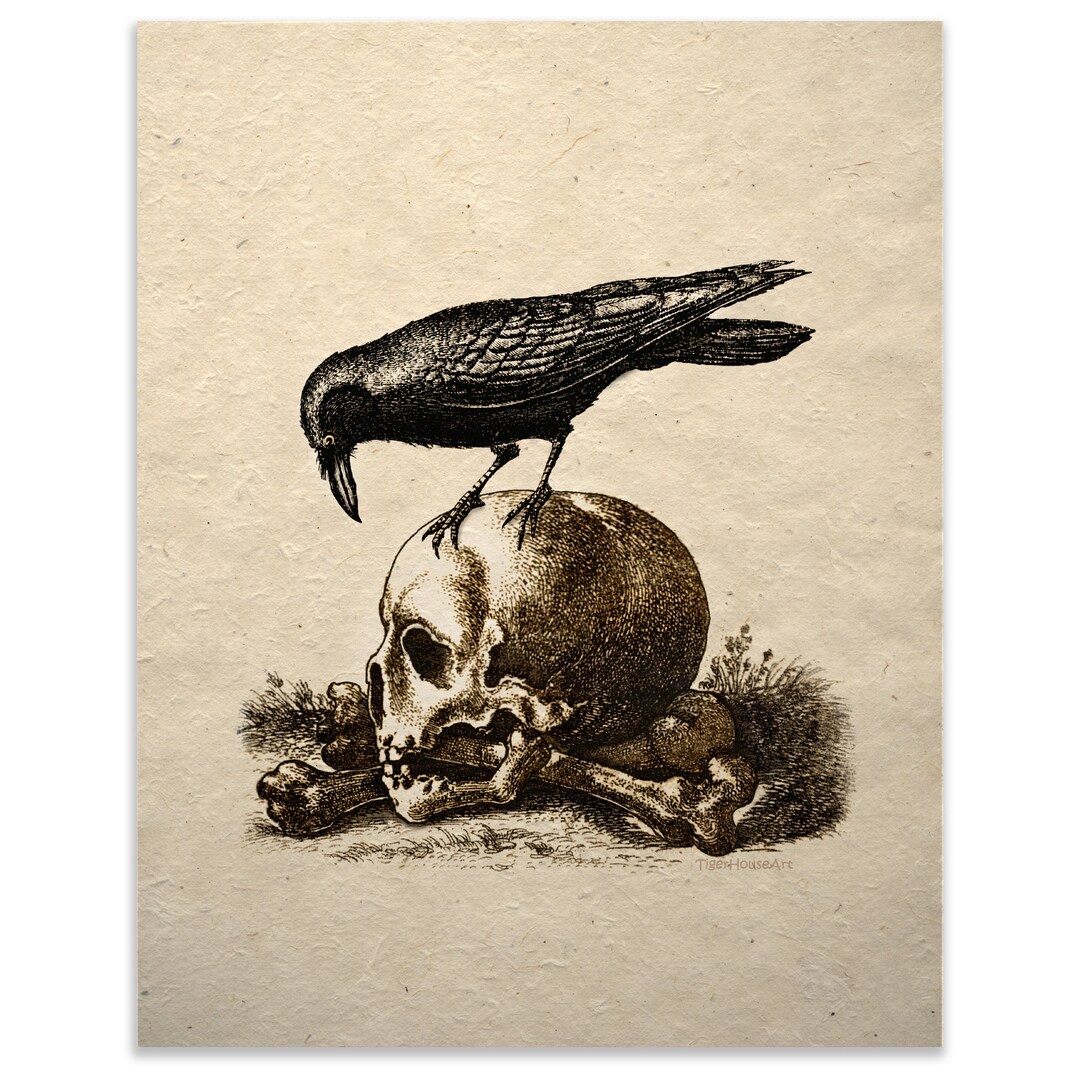 Crow on A Skull Gothic Macabre Art Print Medieval Memento Mori - Etsy