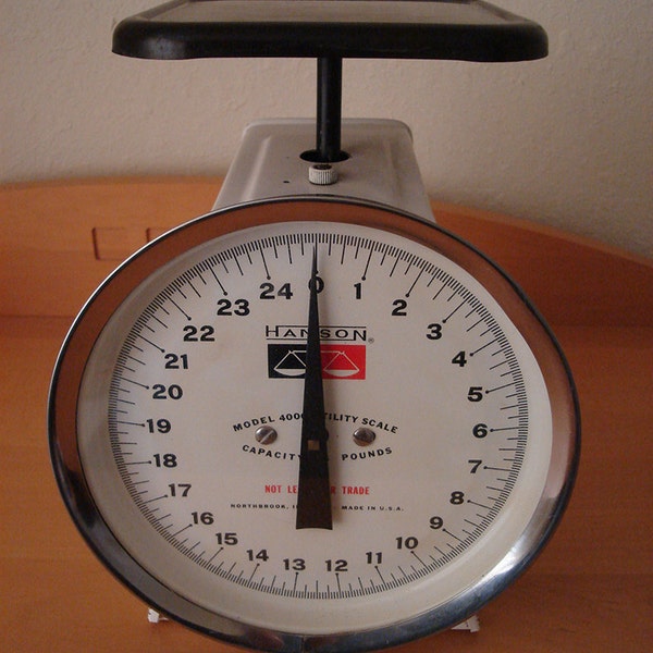 Hanson Scale - Etsy
