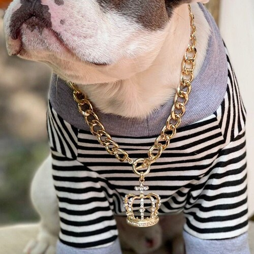 Cuban Link /supper Cute Dog Neck Chain Gold Color/ Jewelry for - Etsy