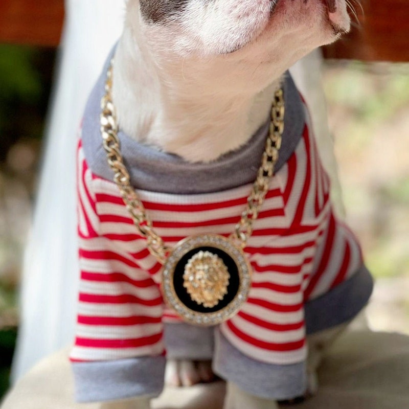 Jewelry for Dogs - Etsy