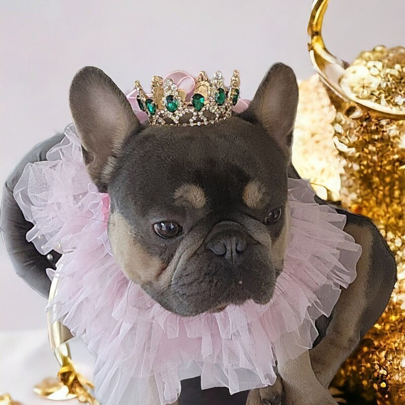 Princess Dog Costume Crown - Etsy