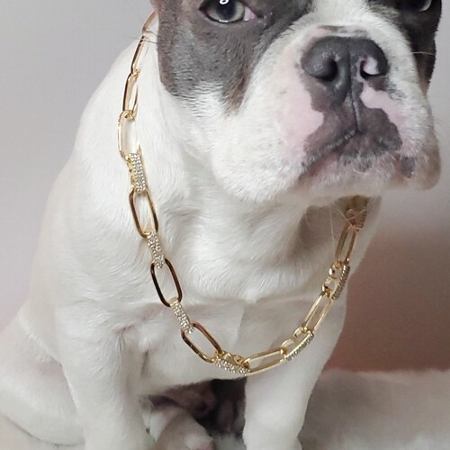 Supper Cute Dog Neck Chain Gold Color/ Jewelry for Pet - Etsy