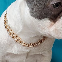 Gold Aluminum Pet Necklace With Blue Pom Poms, Frenchie Accessory - Etsy