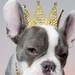 Princess Dog Crown, Elegant Pet Costume - Etsy