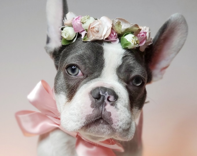 Flower Crown for Dog, Pet Wedding, Dog Floral Wreath, Dog Flower Crown ...
