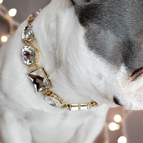 Supper Cute Dog Neck Chain Gold Color/ Jewelry for Pet - Etsy