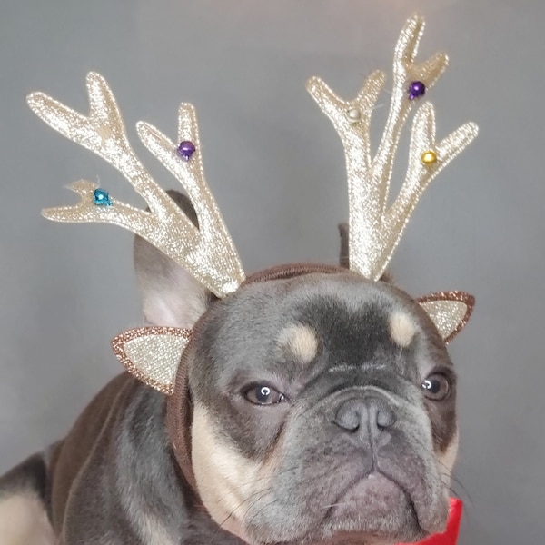 Reindeer Costume - Etsy