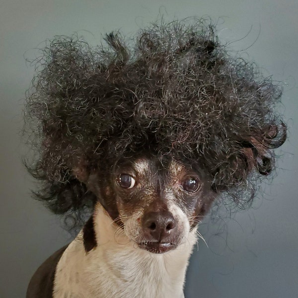 Afro Wig - Etsy