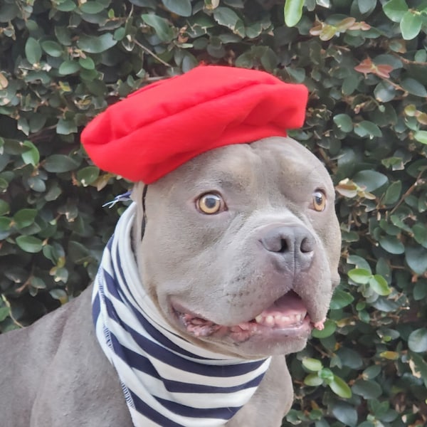 Dog Beret - Etsy