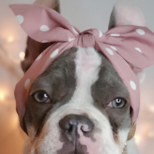 Headband for Dog or Cat /headband for Dogs/pet Gift/ - Etsy