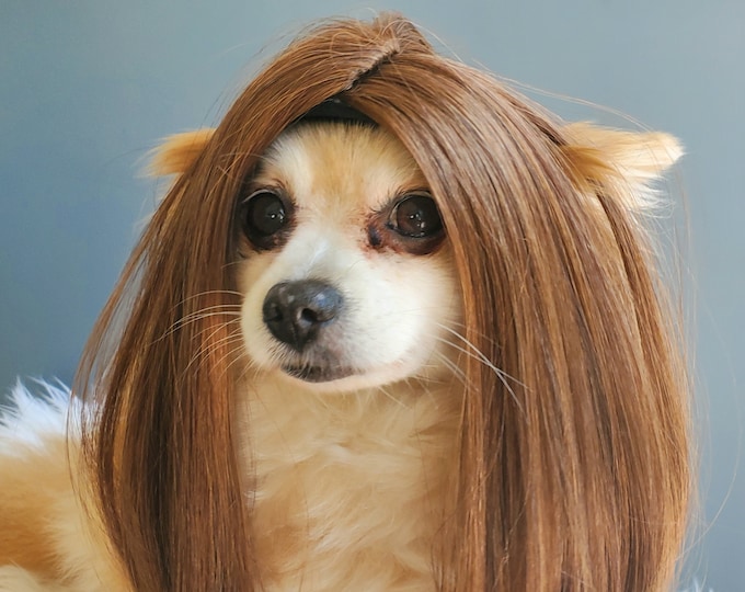 Cute Pet Wig for Dog or Cat / Halloween Pet Wig / Costume Dog Wig /dog ...